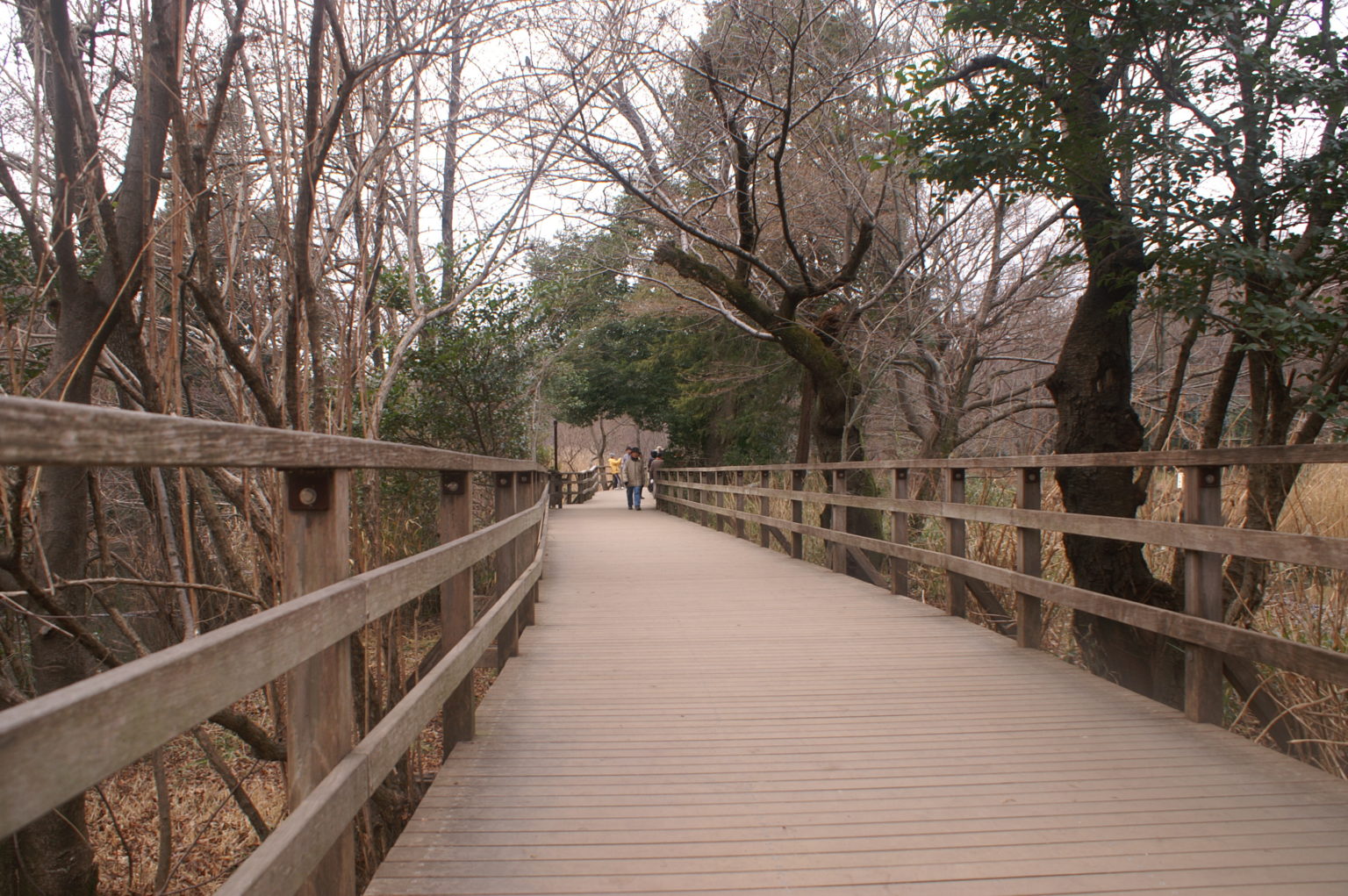 Sampo-jii Pond/Shakuji Park (Park in Nerima) - Ja(a)pan