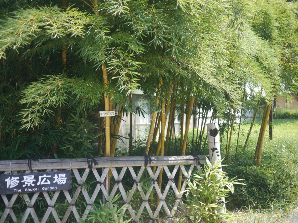 Takehara - a beautiful town near Hiroshima - Ja(a)pan