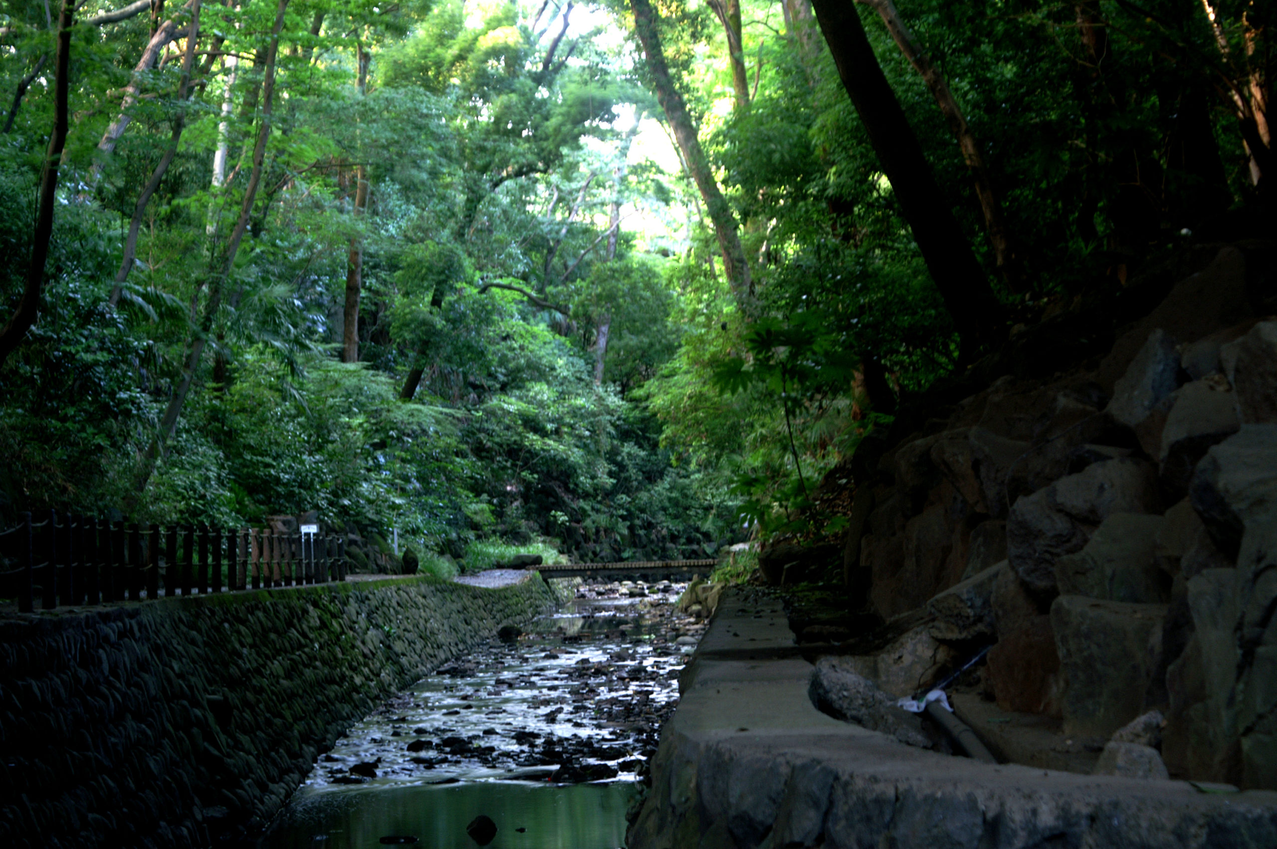 Todoroki Valley - Ja(a)pan