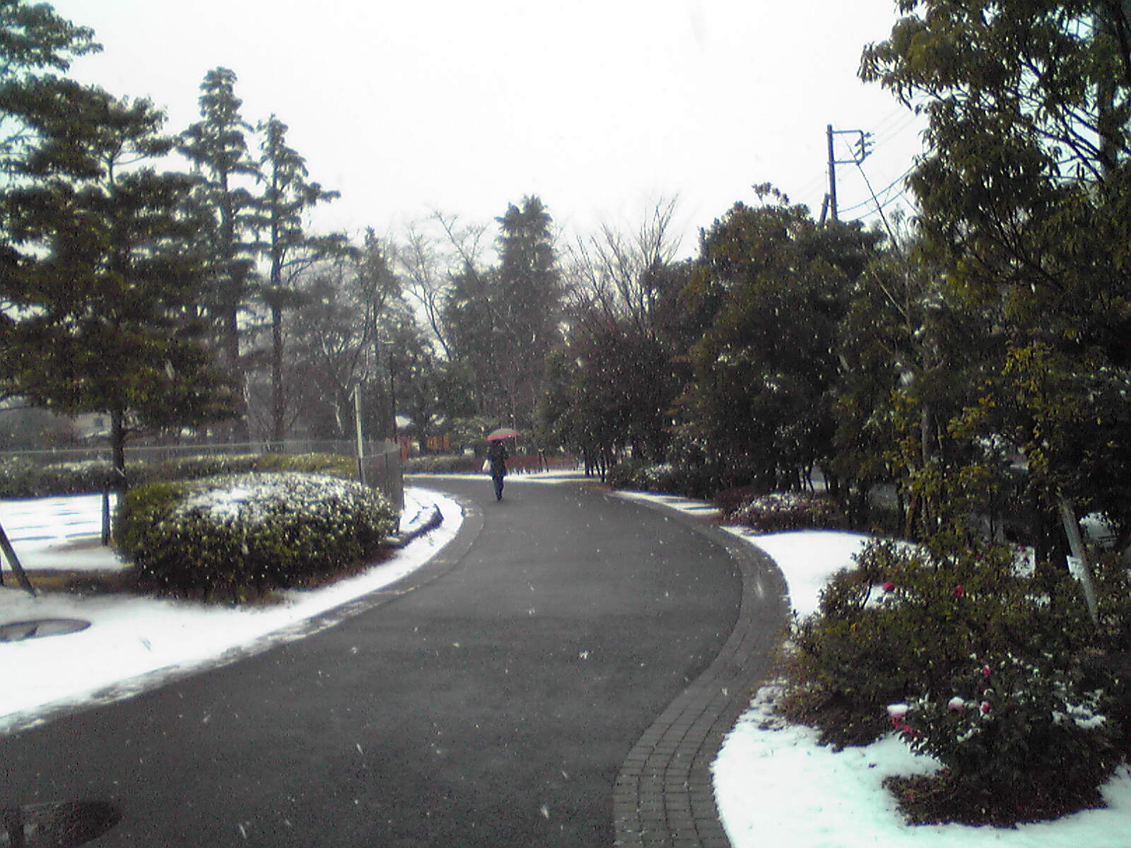 First snow in Tokyo - Ja(a)pan